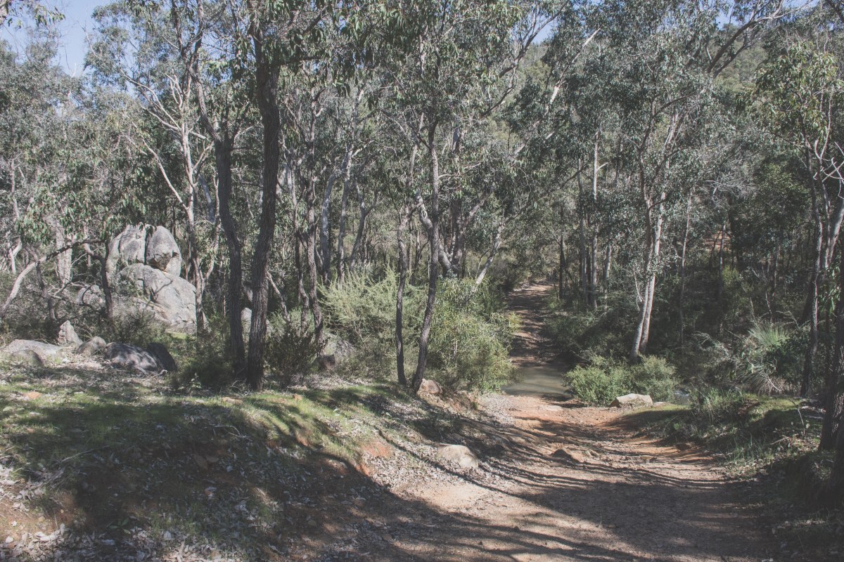 Rocky Pool Walk Trail – The Wayfarers Lens